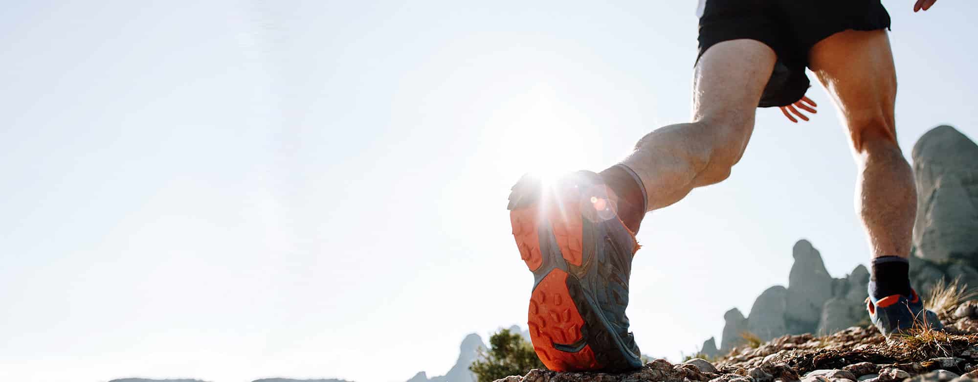 run - Terre De Runners