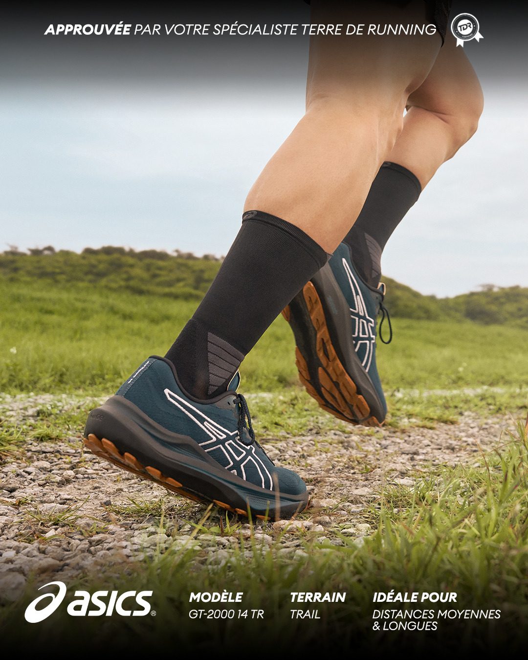 ASICS GT-2000 14 TR , le nouveau modèle trail stable et réactif - Terre ...